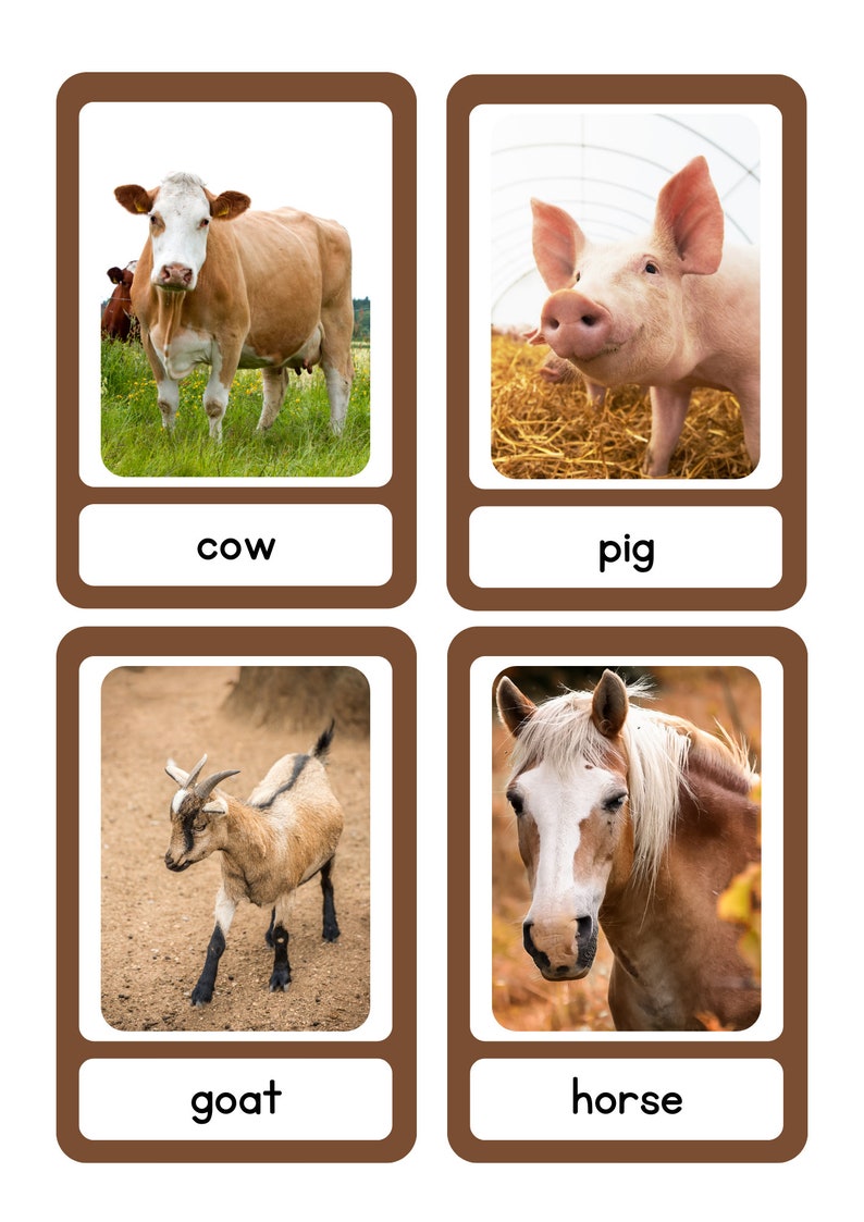 Farm Animal Vocabulary Photo Flashcards,fun Farm Animal Learning ...