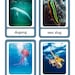 Sea Animals Flash Cards,sea Creatures Learning Cards,marine Life ...