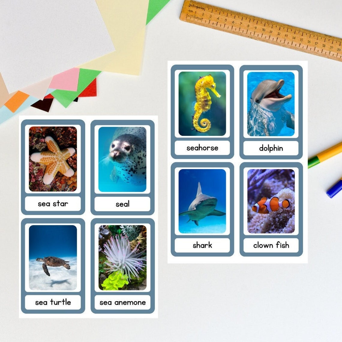 Sea Animals Flash Cards,sea Creatures Learning Cards,marine Life ...