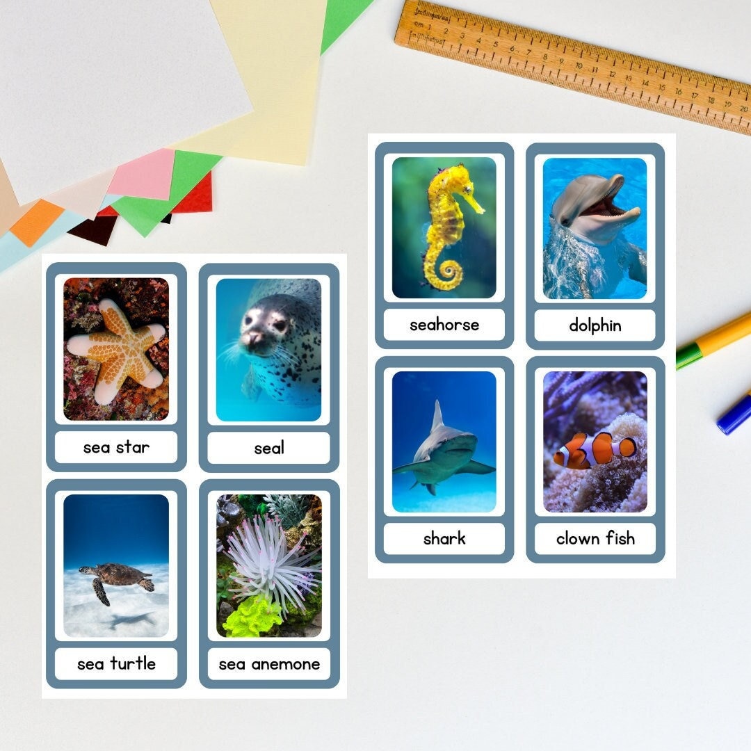 Sea Animals Flash Cards,sea Creatures Learning Cards,marine Life ...