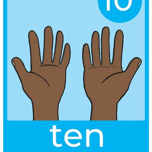 Finger Number Cards, Preschool Counting Flash Cards, Count and Clip ...