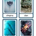 Sea Animals Flash Cards,sea Creatures Learning Cards,marine Life ...
