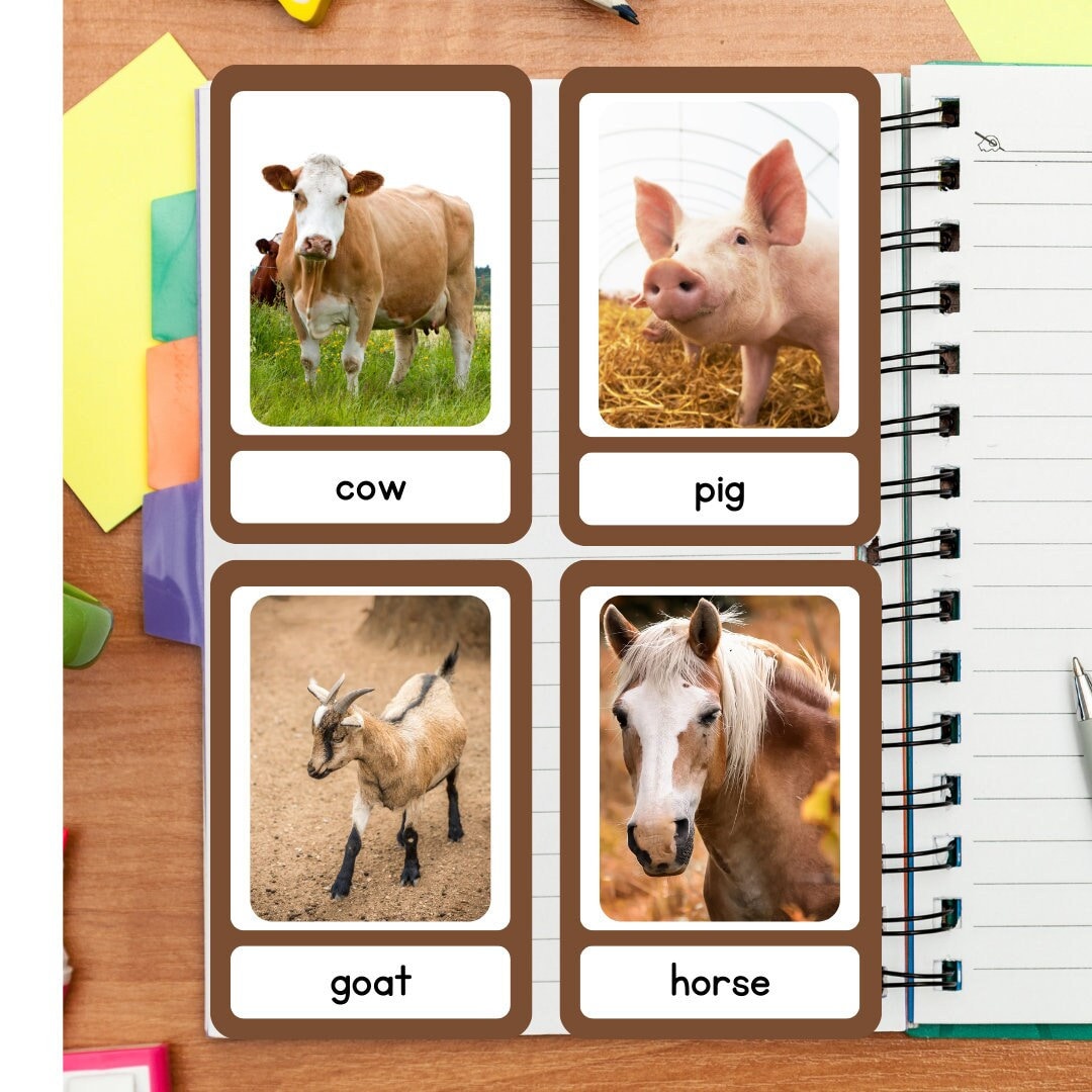 Farm Animal Vocabulary Photo Flashcards,fun Farm Animal Learning ...
