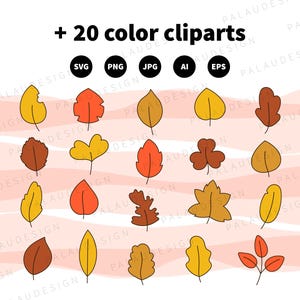 Autumn Leaves Clipart: Fall Stickers & Coloring Pages (digital Download ...