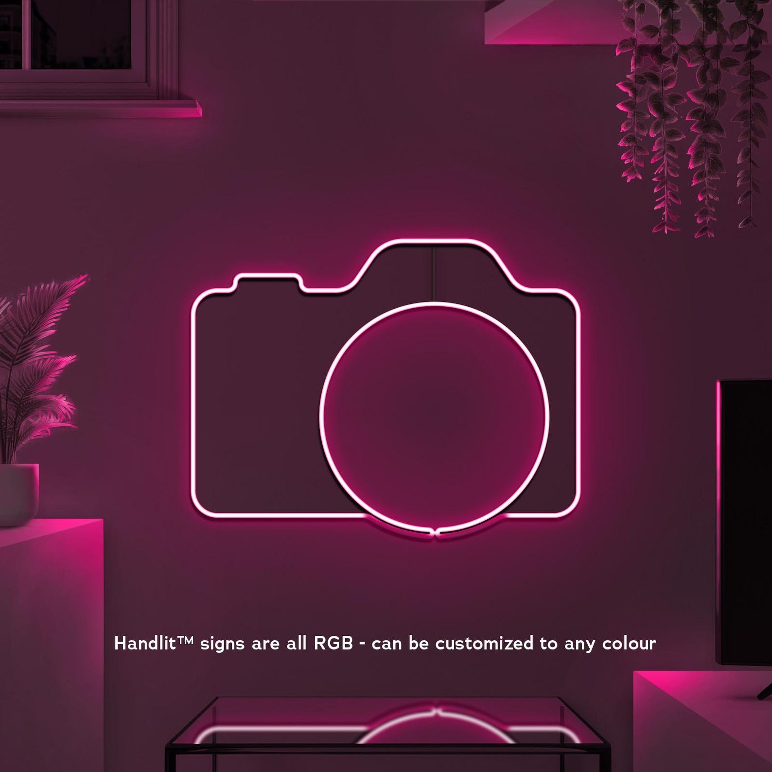 Camera Neon LED Sign Custom, RGB Colour Changing Gift for Photographers ...