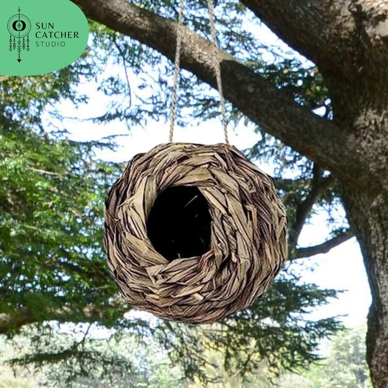 Hummingbird Nest - Etsy