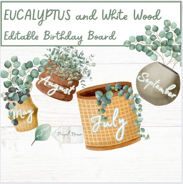 Eucalyptus and White Wood Classroom Birthday Display - Etsy