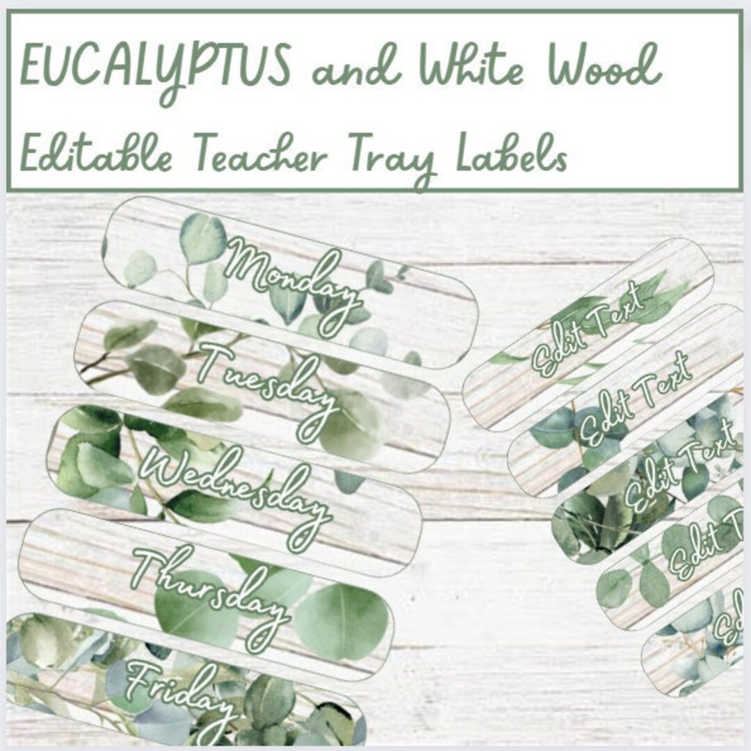 Eucalyptus and White Wood Teacher Tray Labels - Etsy