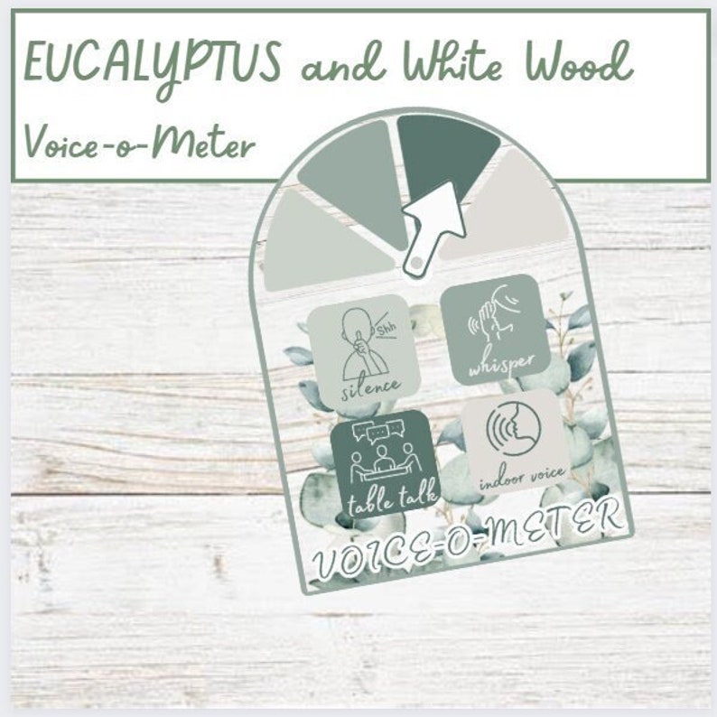 Eucalyptus and White Wood Voice-o-meter - Etsy