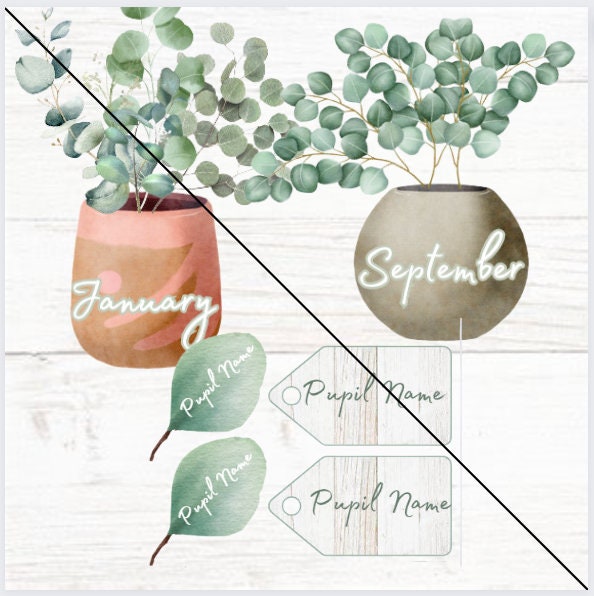 Eucalyptus and White Wood Classroom Birthday Display - Etsy