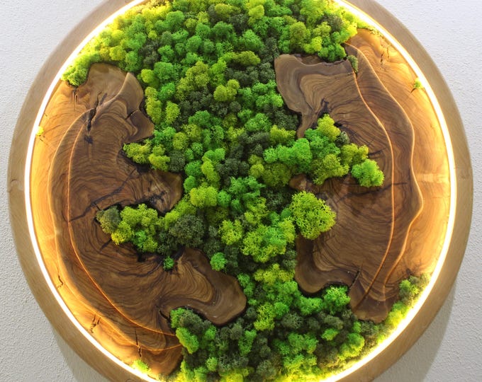 Summer Edition X Exclusive LED Lamp - Preserved Moss Art, , Maintenance ...