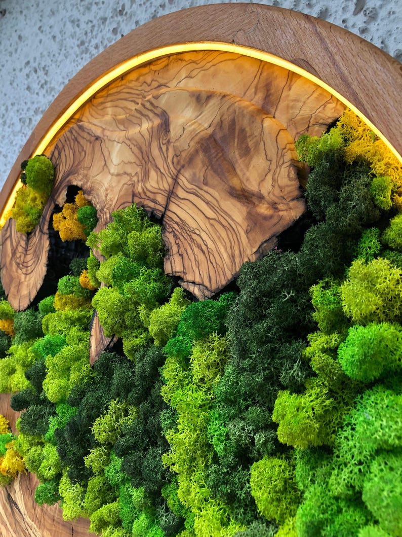 Vivid Green Moss Wall Art Circular Preserved Moss With LED Lights ...