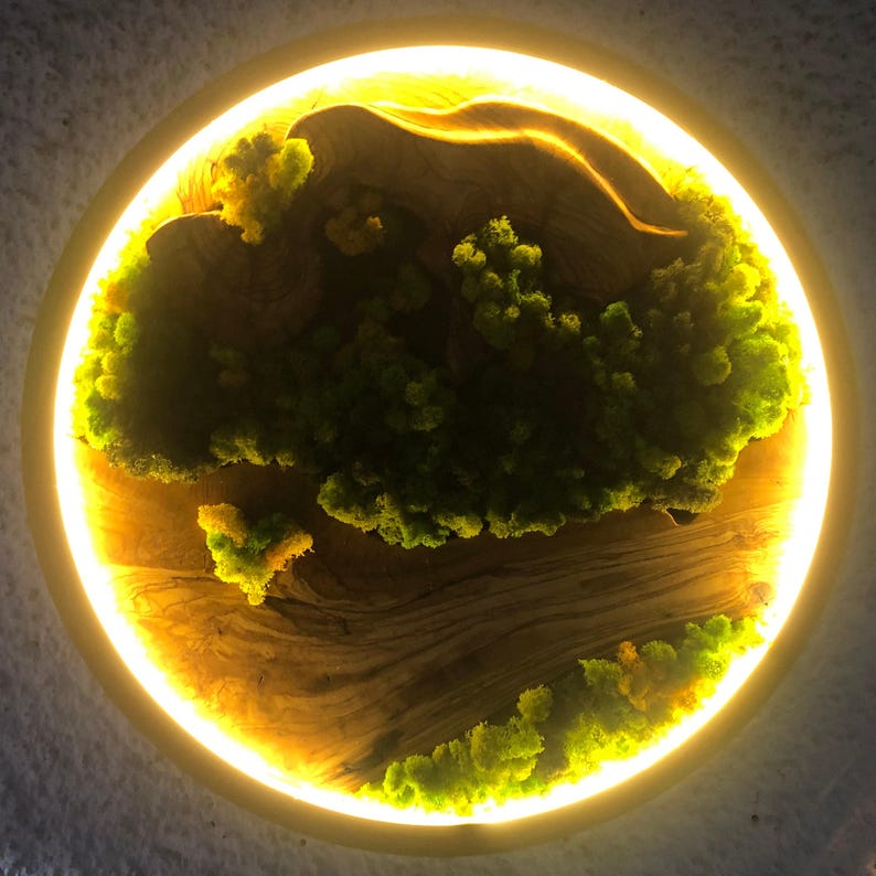 Vivid Green Moss Wall Art Circular Preserved Moss With LED Lights ...
