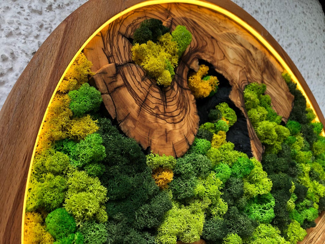 Vivid Green Moss Wall Art Circular Preserved Moss With LED Lights ...