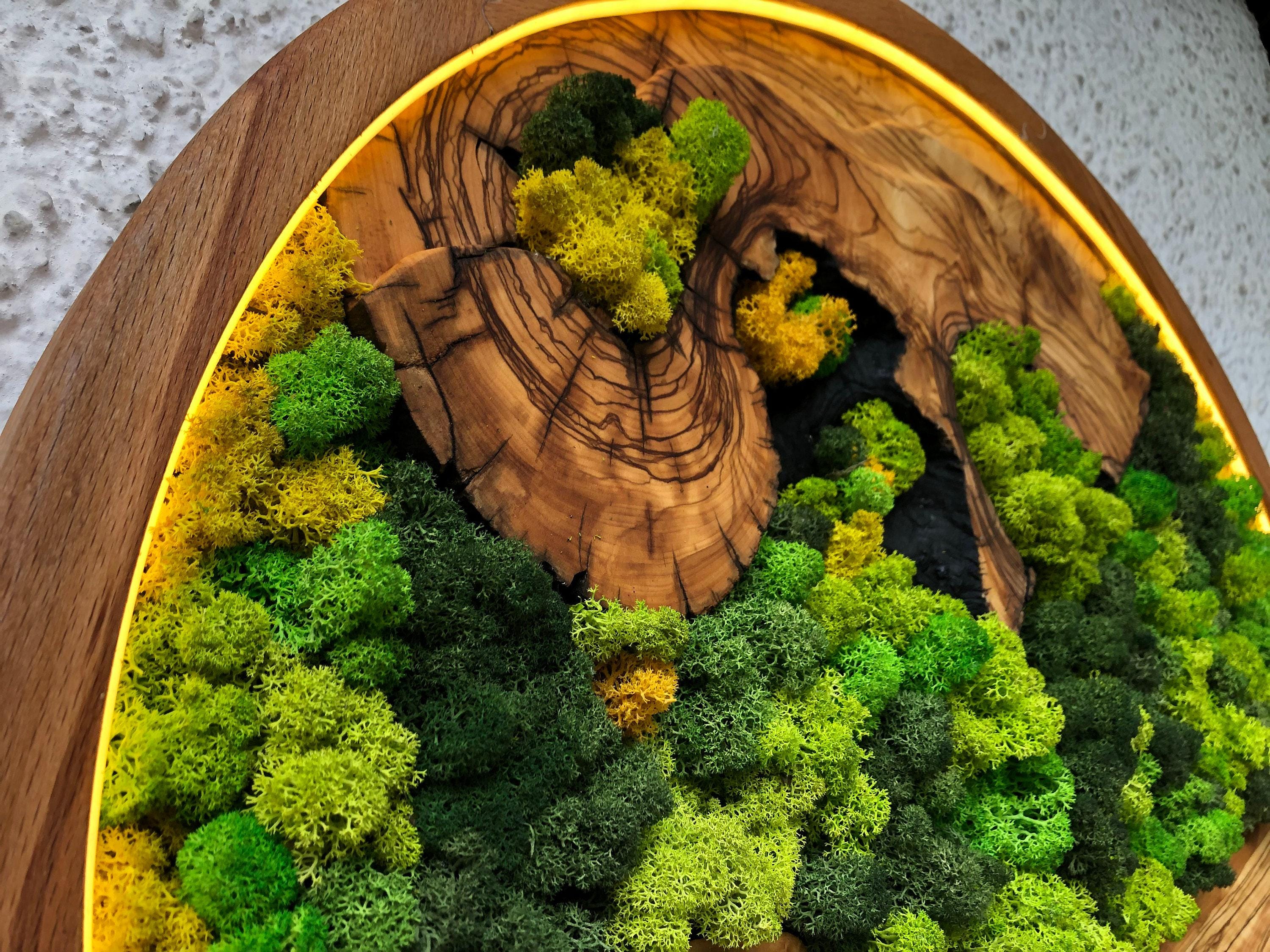 Vivid Green Moss Wall Art Circular Preserved Moss With LED Lights ...