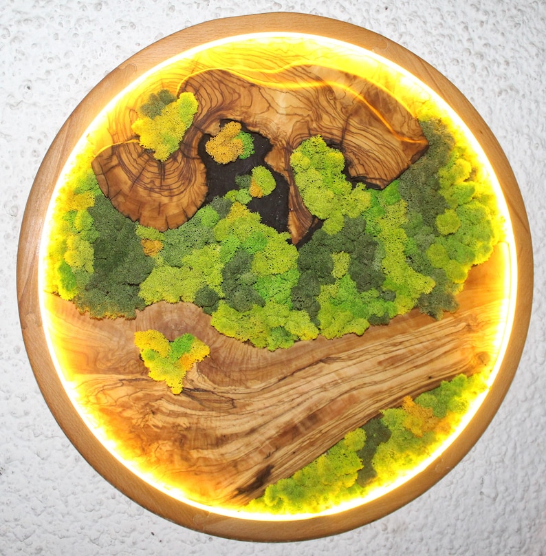 Vivid Green Moss Wall Art Circular Preserved Moss With LED Lights ...