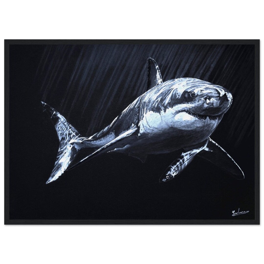 Poster Drawing Shark Blue Shark Drawing - Etsy