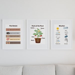 Printable Science Posters Educational Wall Art STEM Kids Bedroom ...
