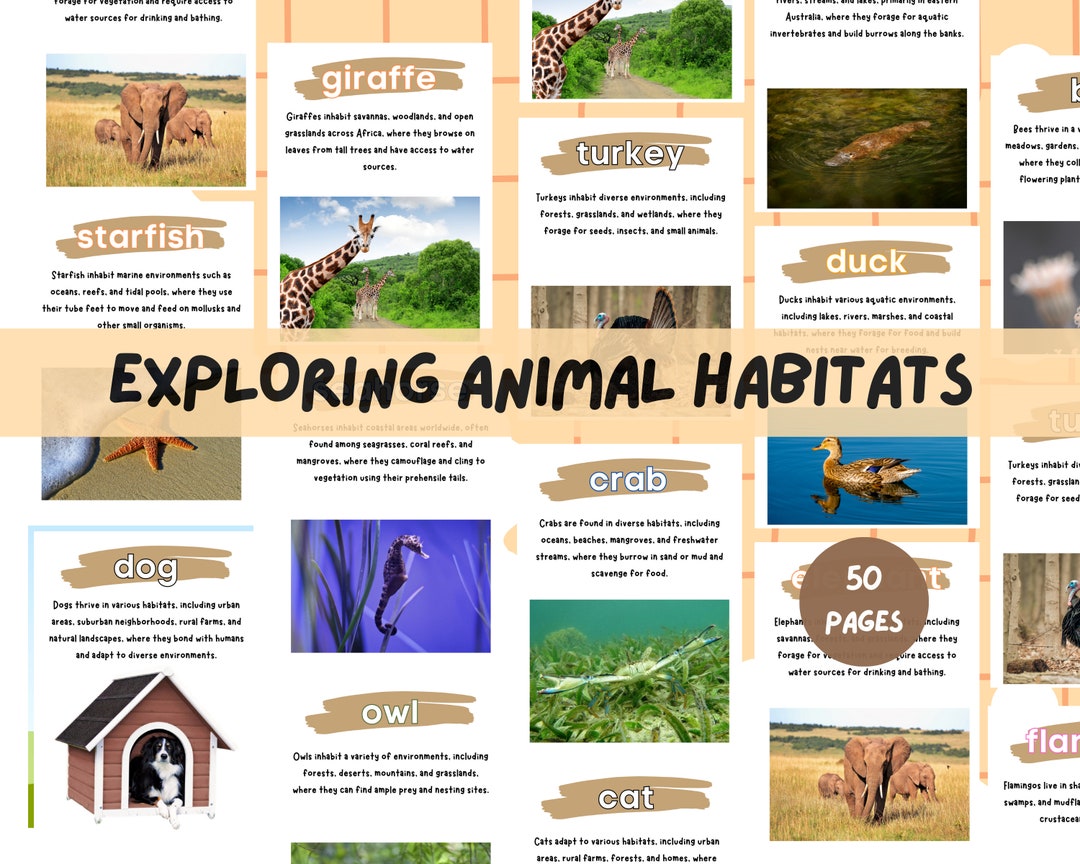 Printable Animal Habitat Busy Book for Kindergarten Animals Busy Book ...