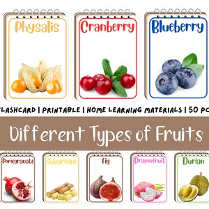 Different Types of Fruits Flashcard Activities Visual Aids for Toddler ...