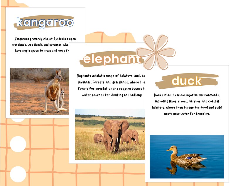 Printable Animal Habitat Busy Book for Kindergarten Animals Busy Book ...