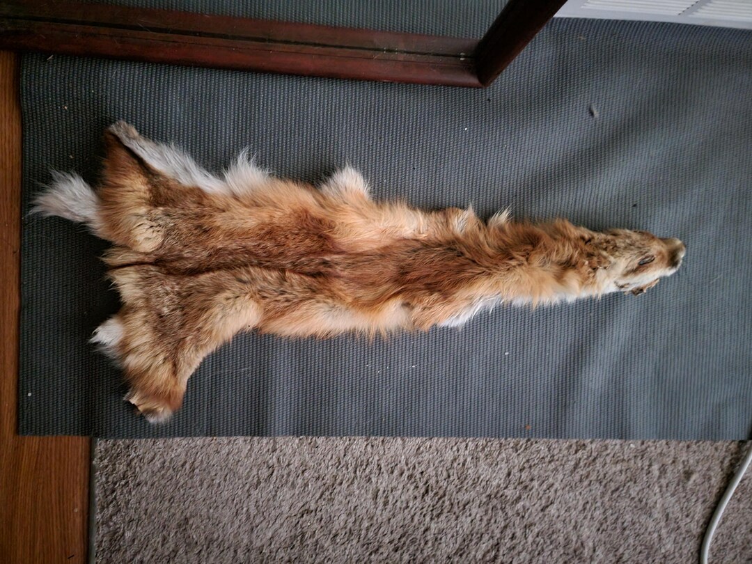 Wild Red Fox Scrap Pelt - Etsy