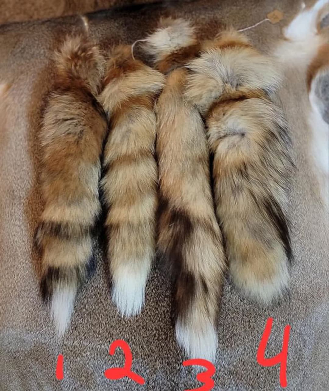 Wild Red Fox Tails - Etsy