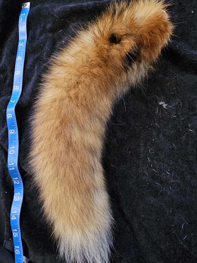 Fluffy Mummified Wild Red Fox Tail Keychain - Etsy