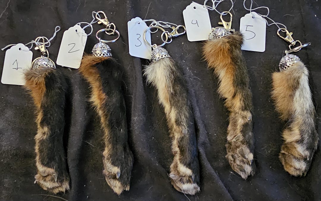 Mummified Red Fox Foot Keychains - Etsy