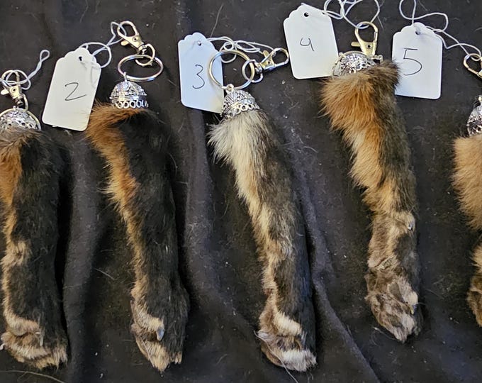 Mummified Red Fox Foot Keychains - Etsy
