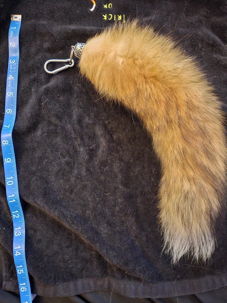 Fluffy Mummified Wild Red Fox Tail Keychain - Etsy
