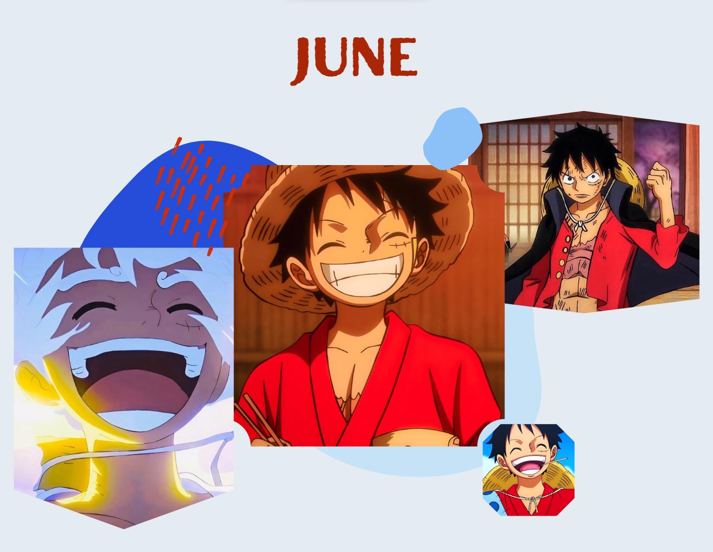 One Piece 2025 Calendar - Etsy