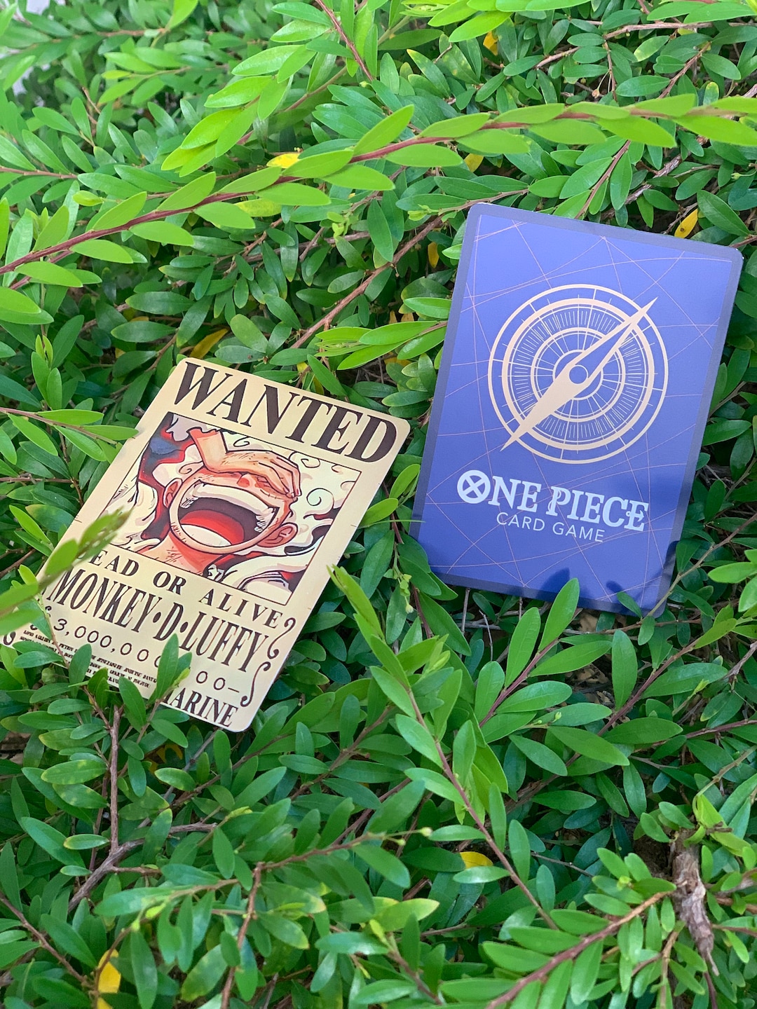 One Piece Wanted Poster Cards Singles - Etsy Portugal