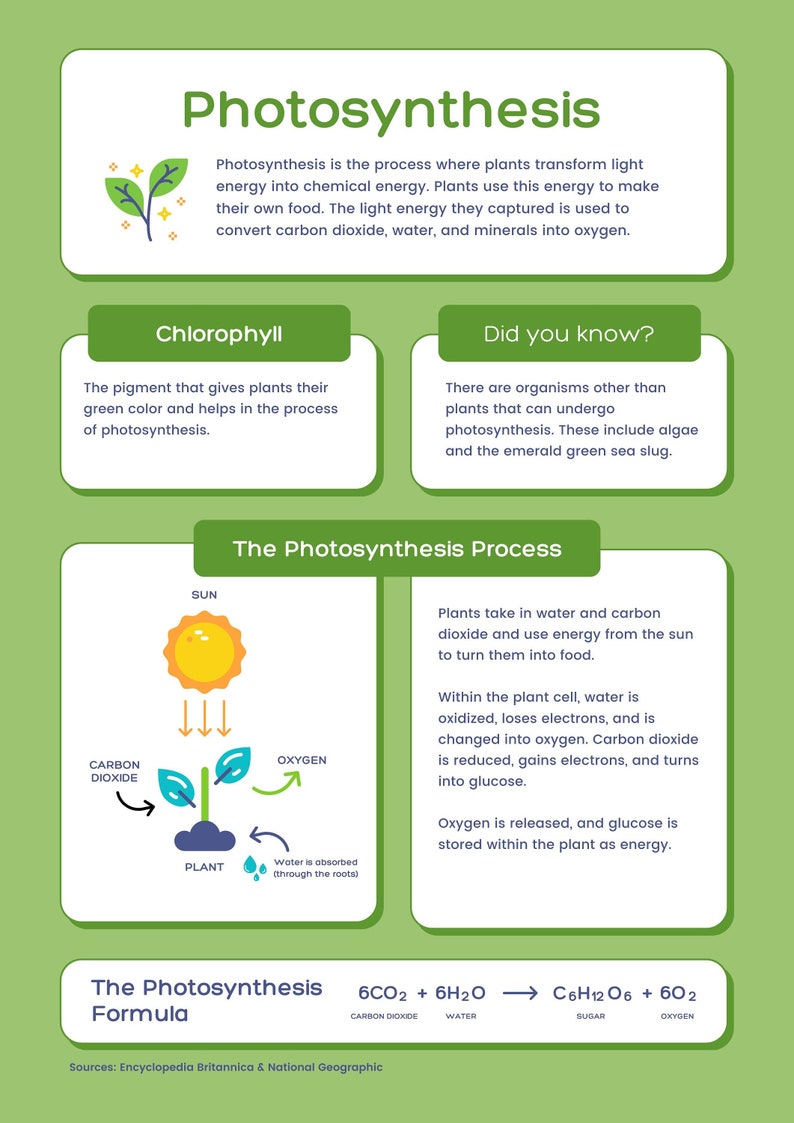 Green Flat Graphic Photosynthesis Biology Worksheet for Classroom ...