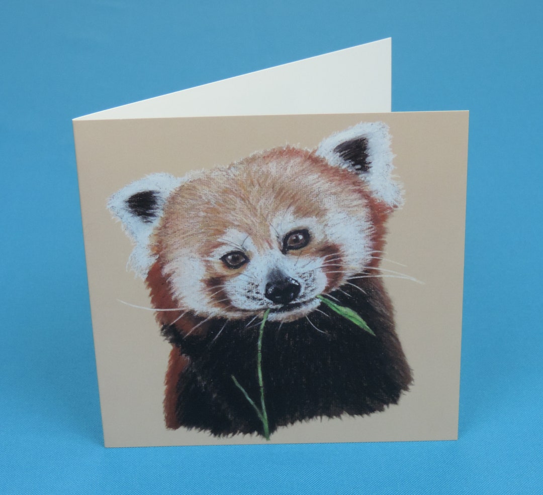 Red Panda | Greeting Card - Etsy