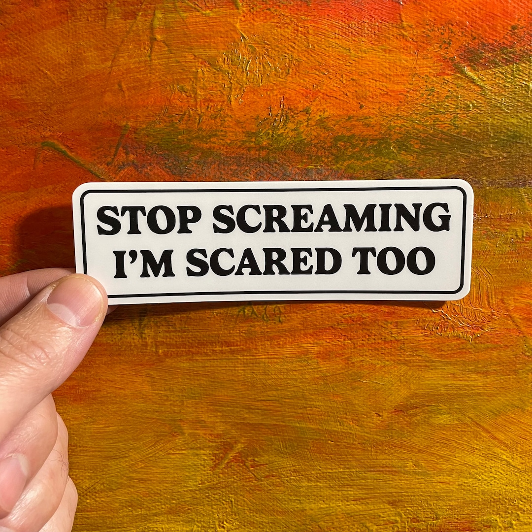 Stop Screaming I’m Scared Too Funny Laptop Sticker | Aviation Sticker ...