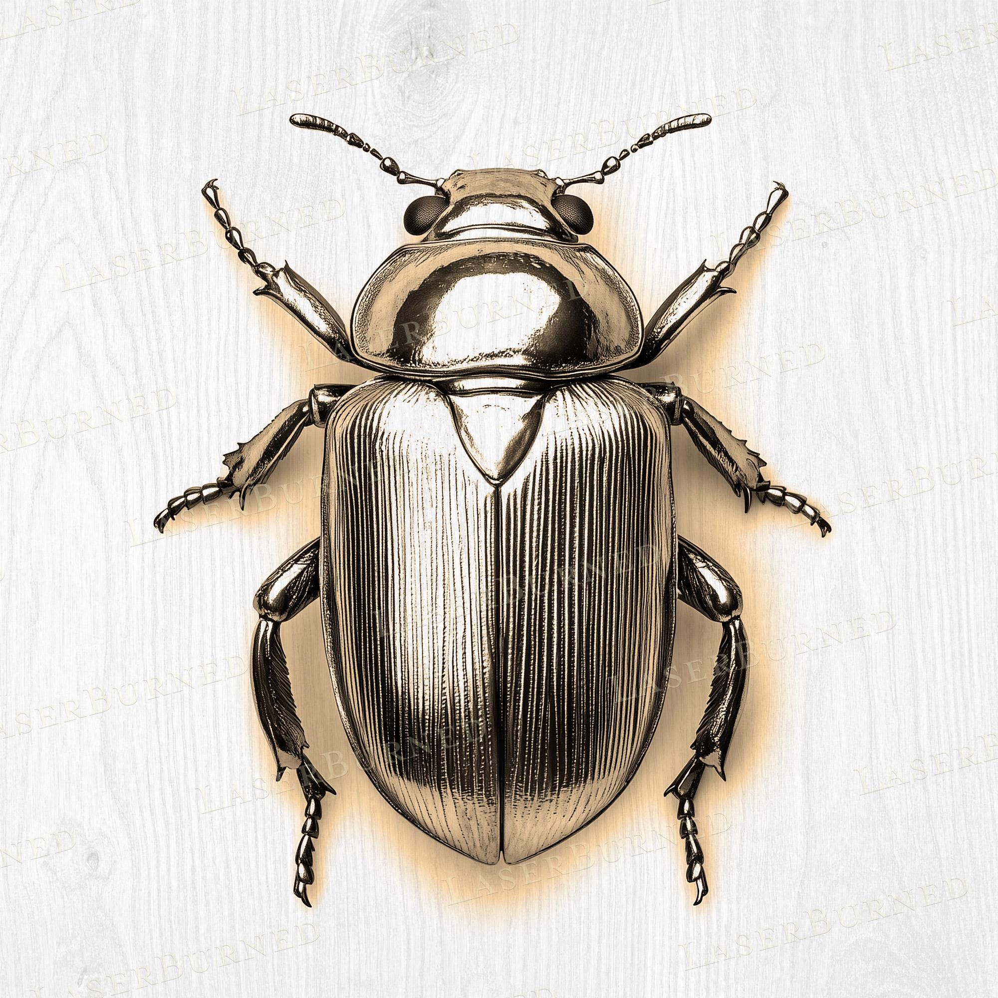 Laser Engrave PNG of a Scarab Beatle | 3D Illusion Burn | Digital Files ...