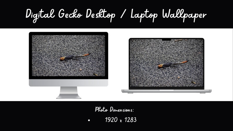 Digital Gecko Desktop / Laptop Wallpaper - Etsy