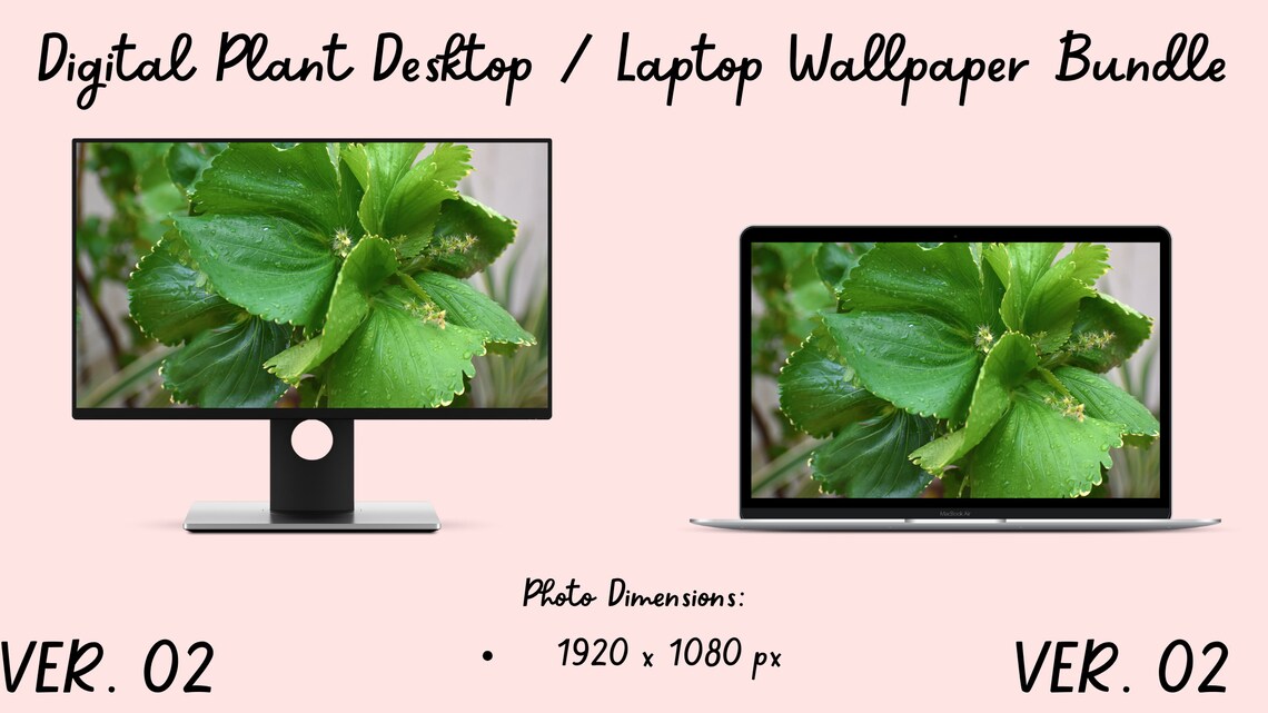 Simple Plant Desktop - Laptop Wallpaper Digital Download Bundle ...