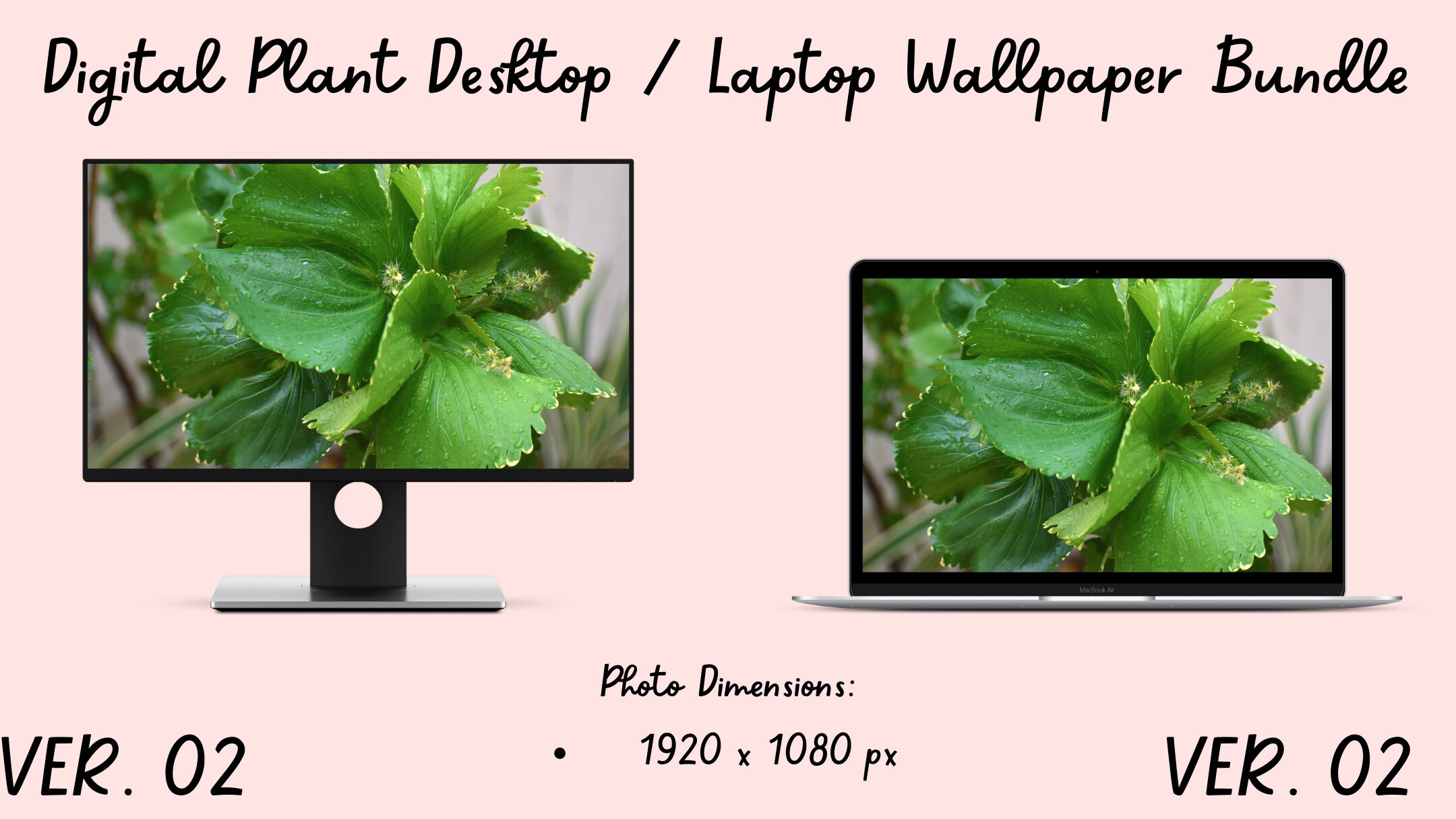 Simple Plant Desktop - Laptop Wallpaper Digital Download Bundle ...