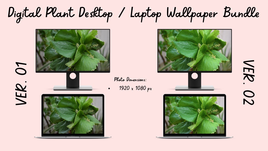 Simple Plant Desktop - Laptop Wallpaper Digital Download Bundle ...