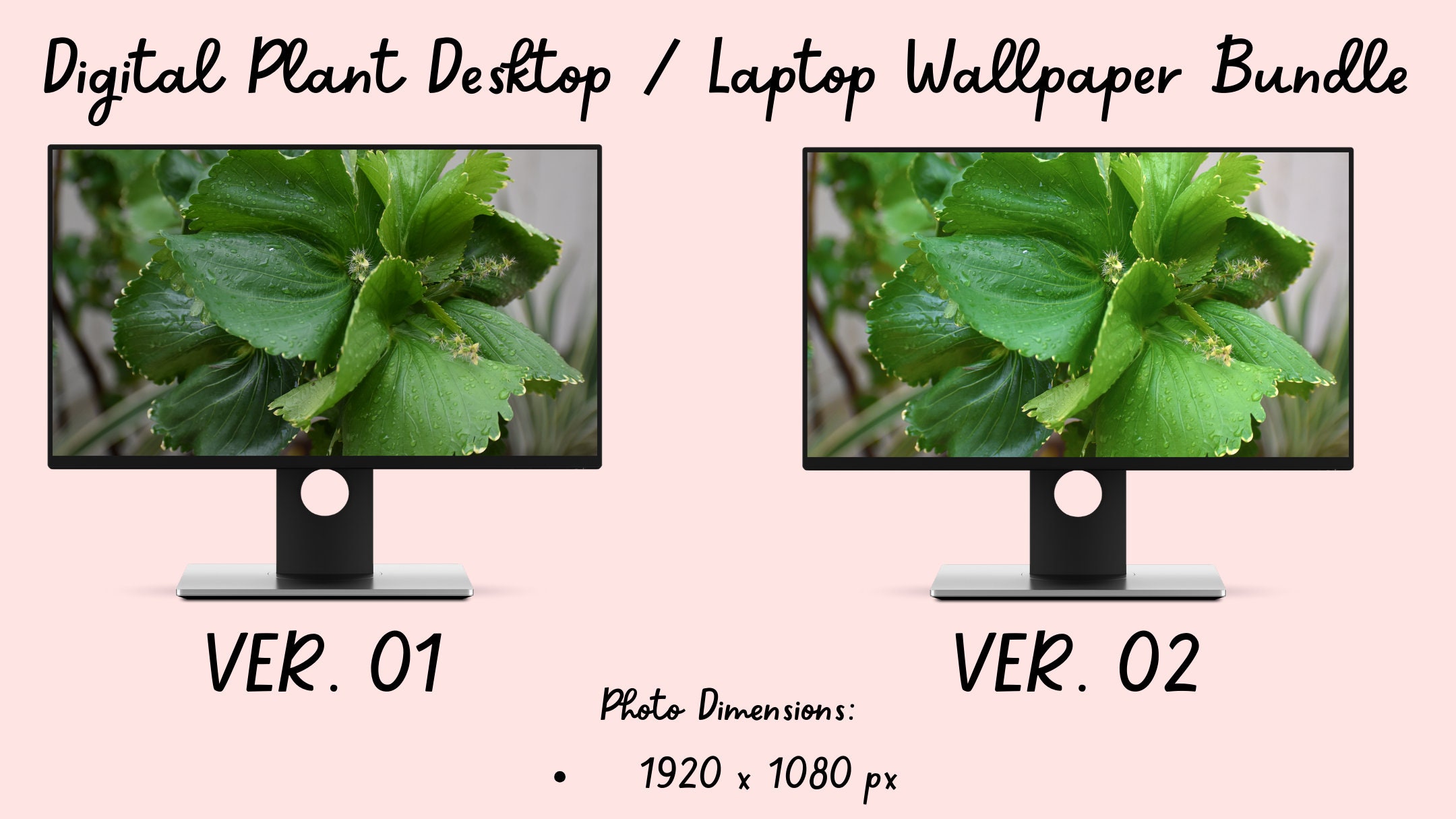 Simple Plant Desktop - Laptop Wallpaper Digital Download Bundle ...