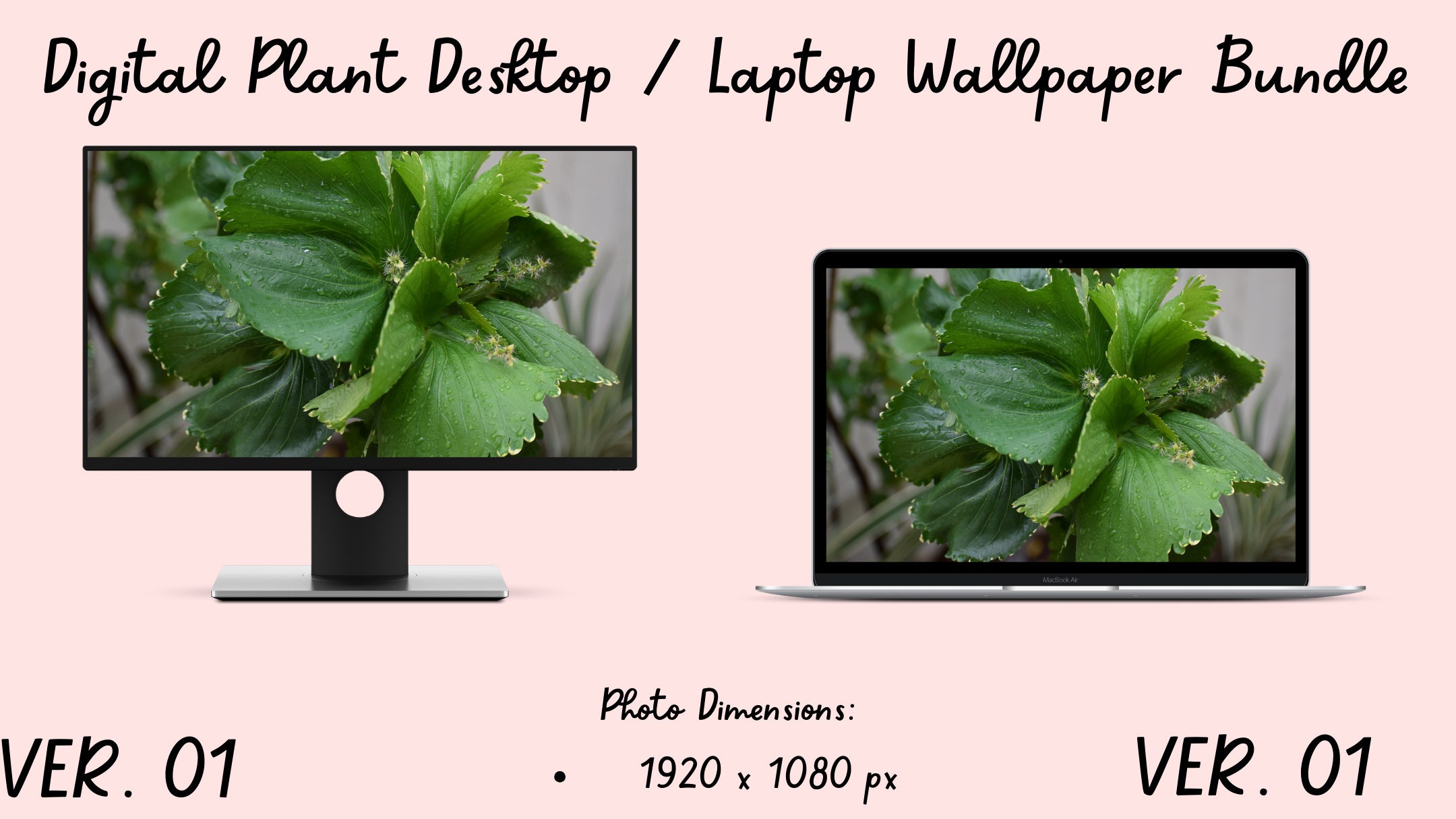 Simple Plant Desktop - Laptop Wallpaper Digital Download Bundle ...