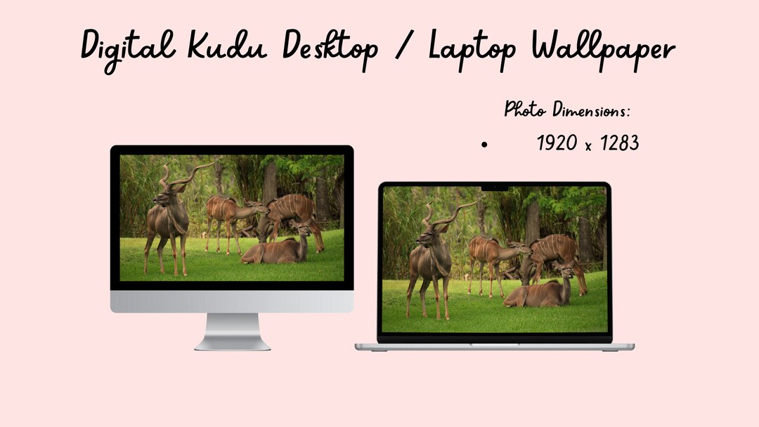 Digital Kudu Desktop / Laptop Wallpaper - Etsy