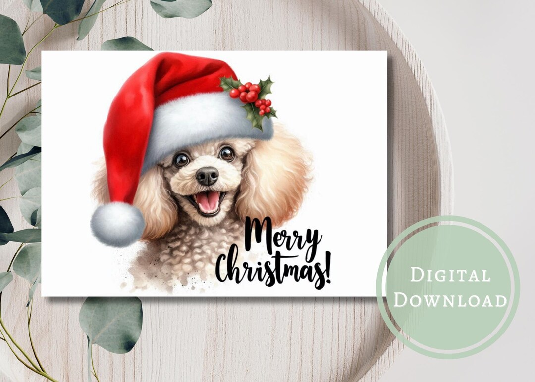 Toy Poodle Christmas Card Printable Digital Download Holiday Greeting ...