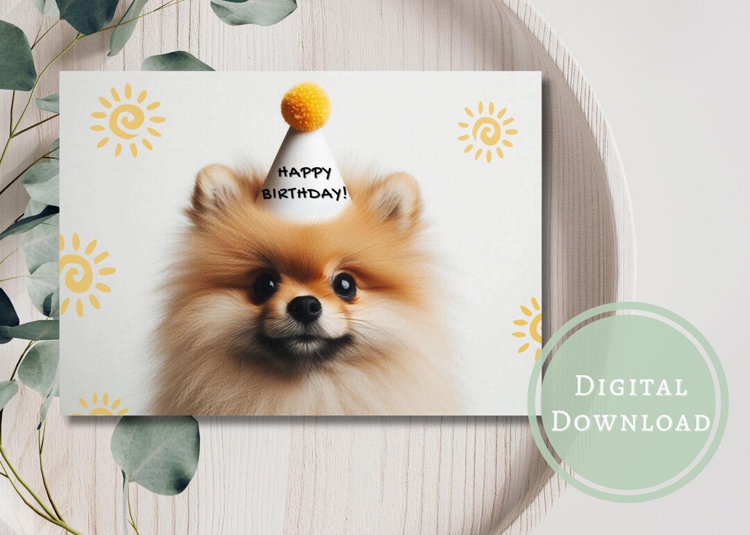 Adorable Pomeranian Birthday Card Printable Digital Download Greeting ...