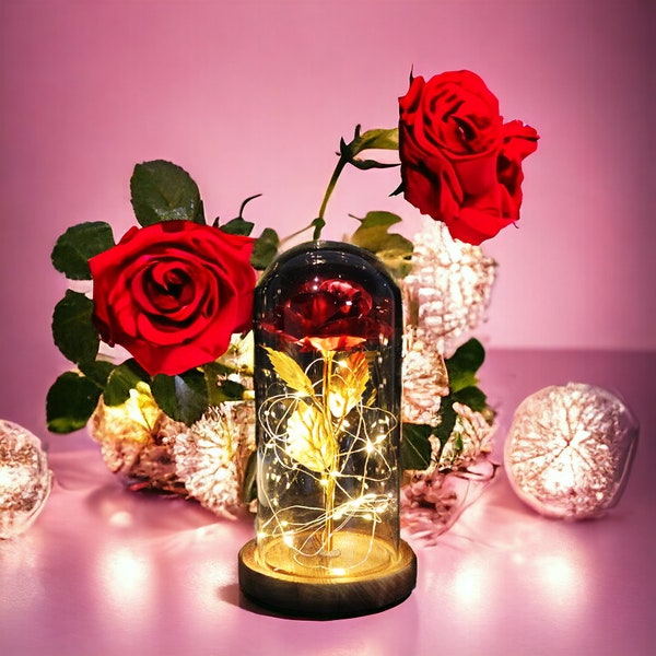 Eternal Rose - Etsy Canada