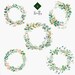 Greenery Wreath Watercolor Clipart Bundle, PNG Bundle, Watercolor ...