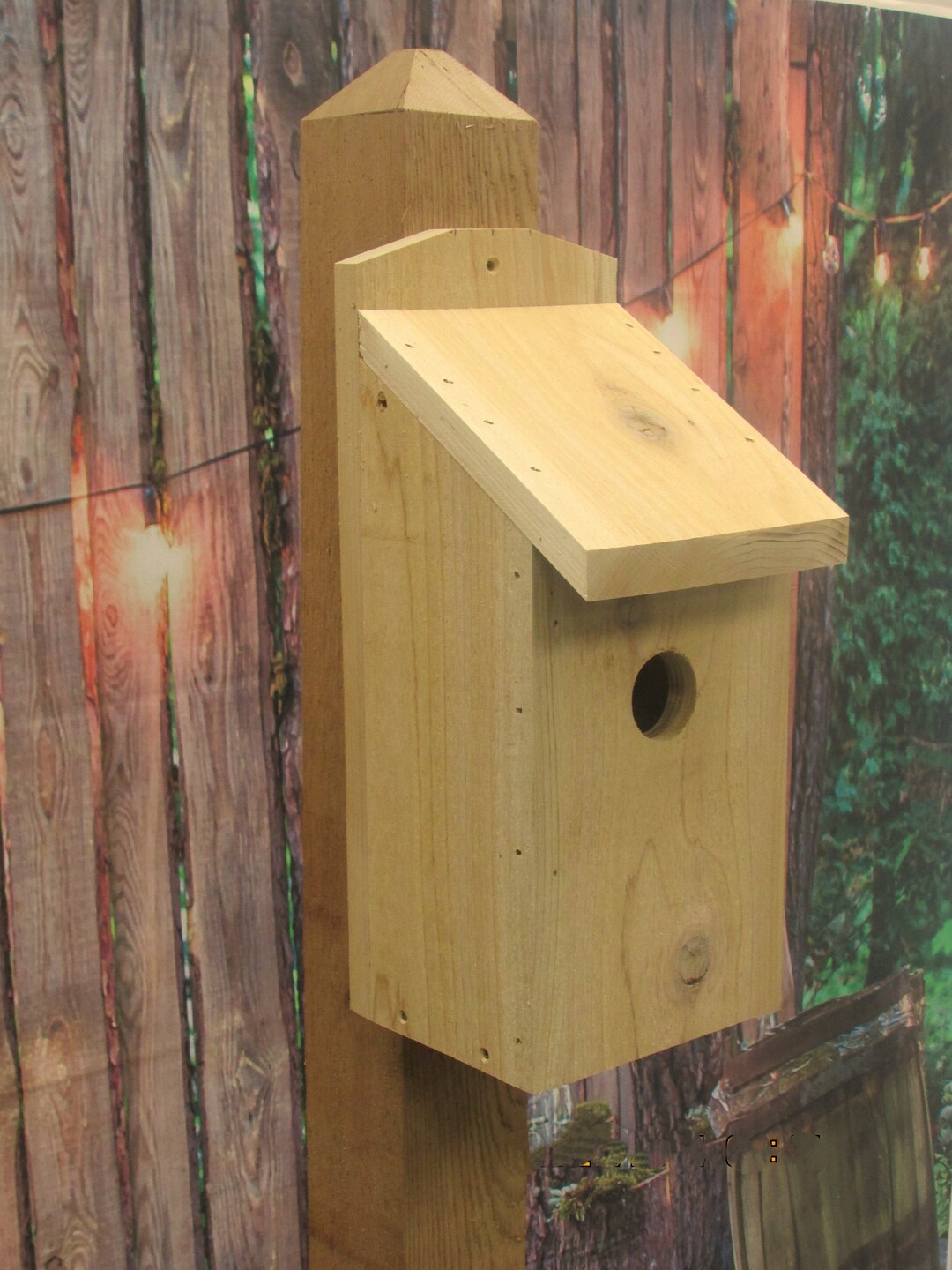 Downy and Hairy Woodpecker Box - Etsy