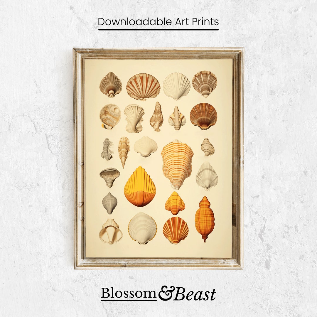Sea Shell Nautical Vintage Printable Wall Art, Bathroom Print, Nautical ...